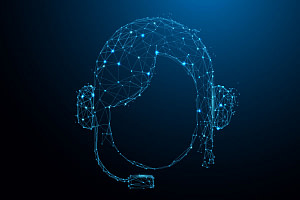 Customer Experience in Financial Services - VoiceSage